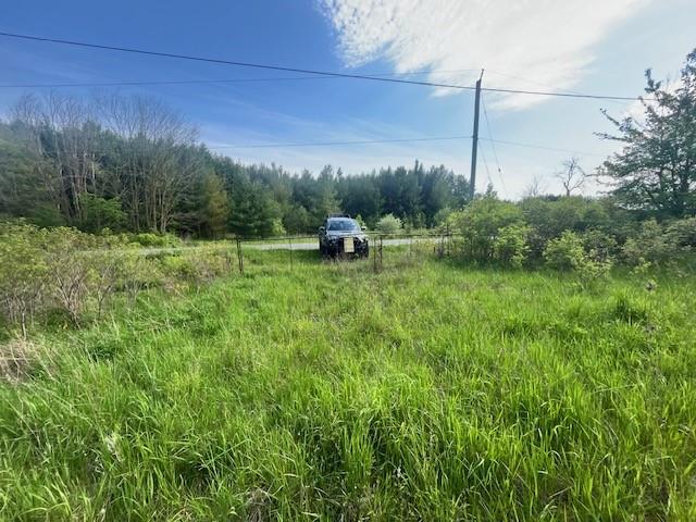 Pt Lt 16 Hutchinson Road, Dunnville, Ontario N1A 2W2 (26903690) | The ...